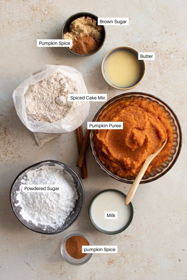 Baked Pumpkin Mini Donuts (with 2 ingredient batter) - Oh Snap Macros