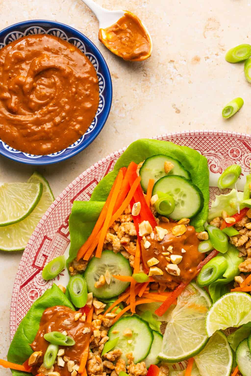 Homemade Lower Calorie Peanut Sauce (made with PB2) - Oh Snap Macros